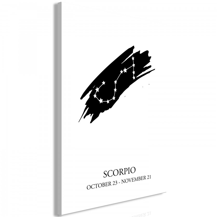Quadro - Zodiac Signs: Scorpio (1 Part) Vertical - 60x90